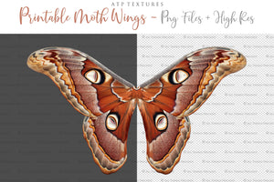 PRINTABLE MOTH WINGS - Set 1