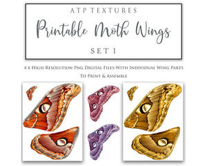 PRINTABLE MOTH WINGS - Set 1