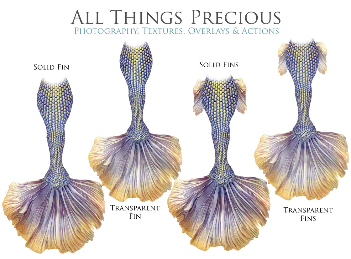 MERMAID TAILS Set 6 - Digital Overlays – ATP Textures
