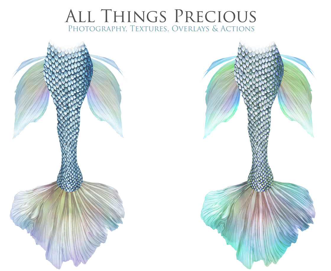 SWISH MERMAID TAILS - Digital Overlays – ATP Textures