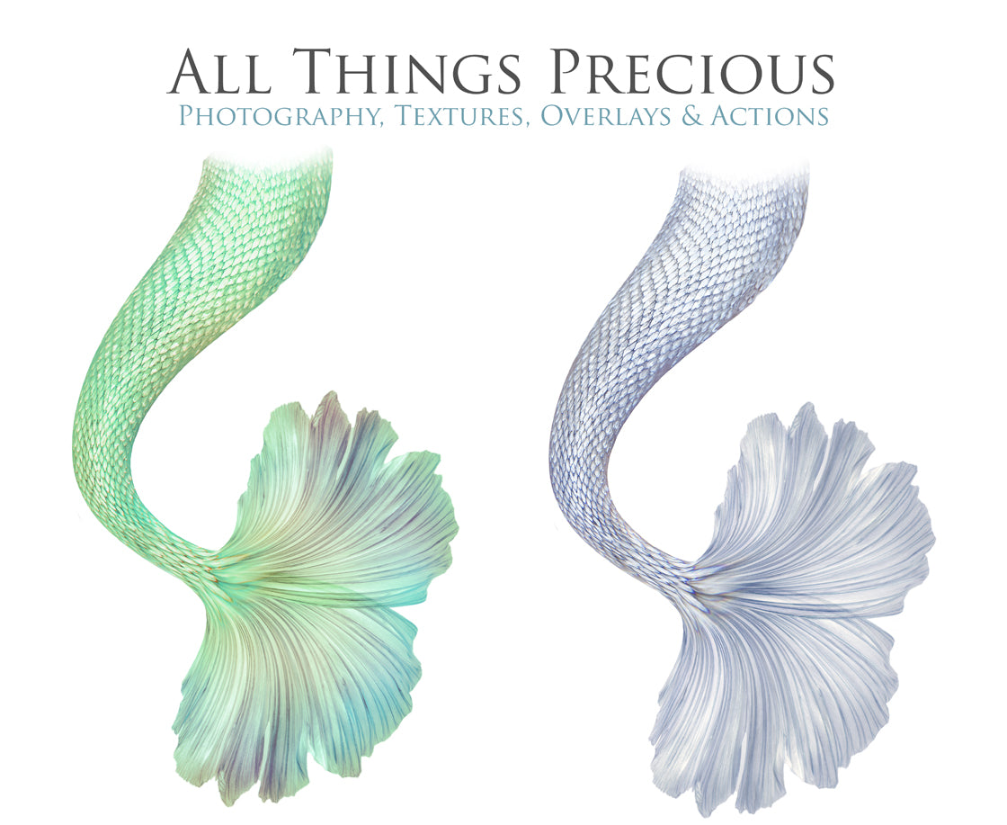 CURVE MERMAID TAILS - Digital Overlays – ATP Textures