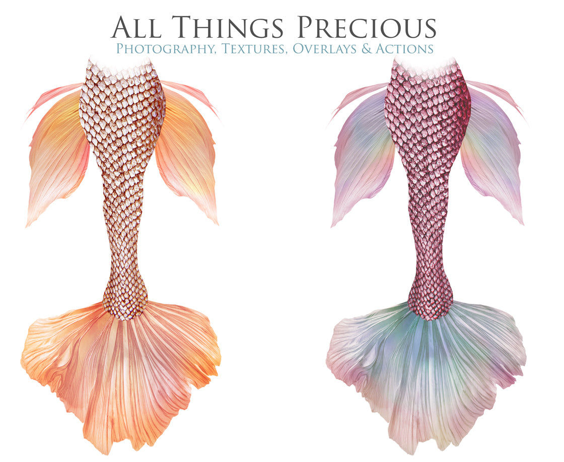SWISH MERMAID TAILS - Digital Overlays – ATP Textures