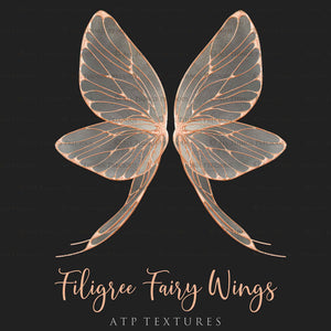 25 Png FILIGREE FAIRY WING Overlays - Set 12